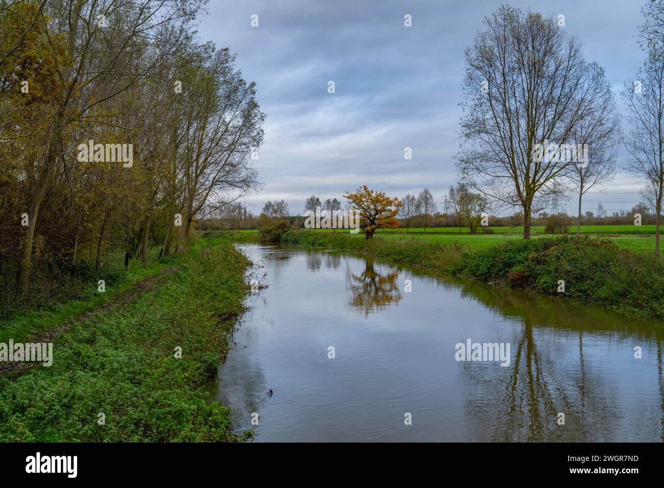 The river chelmer hi-res stock photography and images - Alamy
