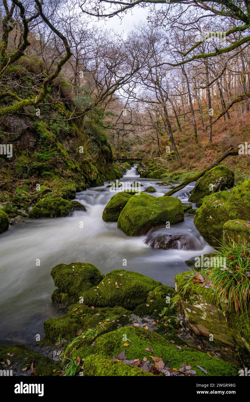 The Afon Dwyryd river in Eryri National Park (Snowdonia) between ...