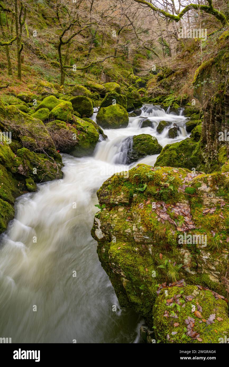 The Afon Dwyryd river in Eryri National Park (Snowdonia) between ...