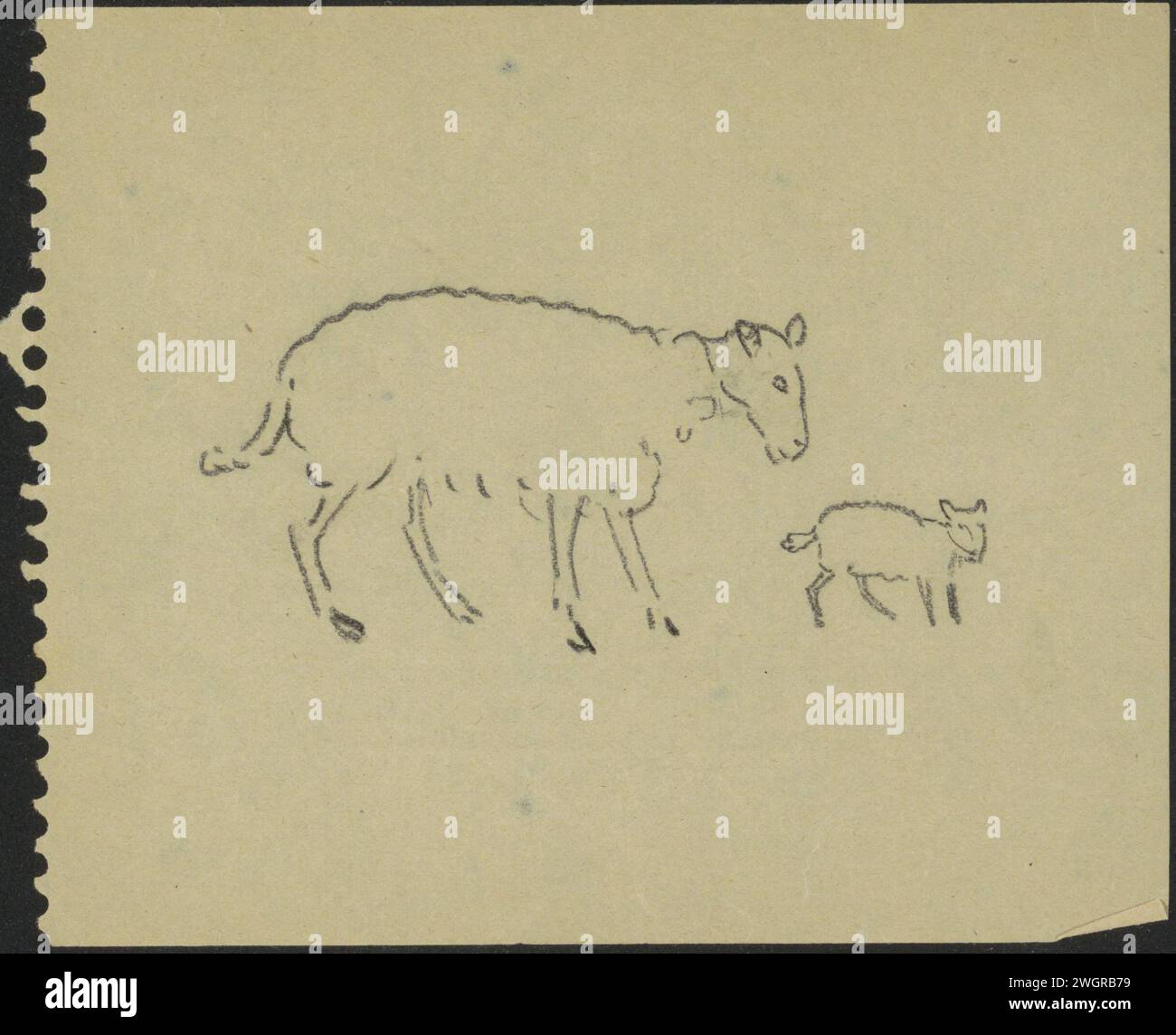 Sheep and a lamb, c. 1904 - c. 1906 drawing paper. chalk sheep. lamb ...