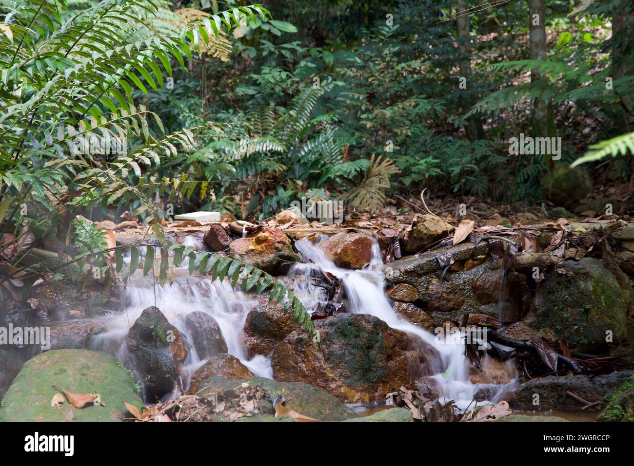 Cafe at Gunung Lambak, Kluang, Malaysia Stock Photo - Alamy