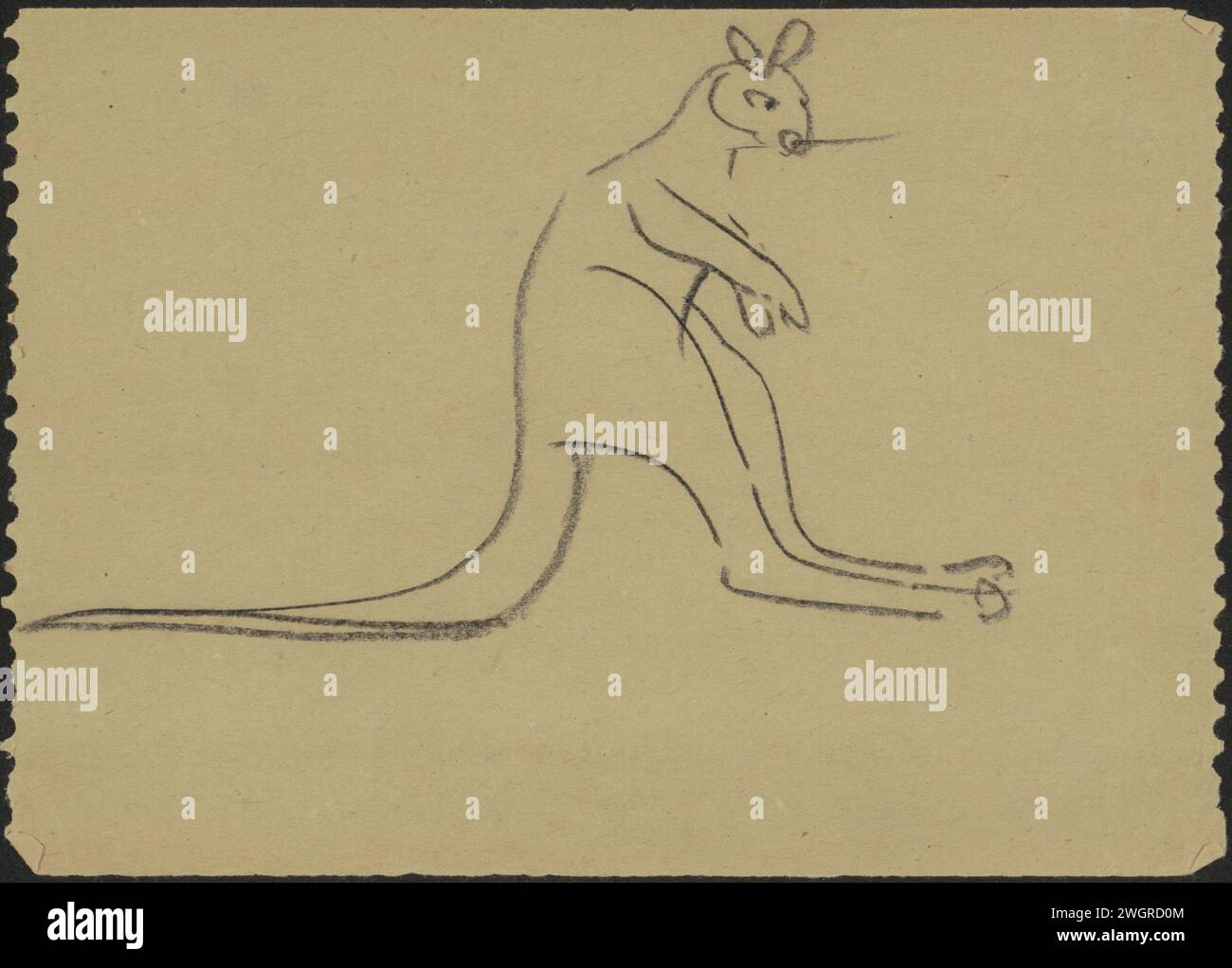 Kangeroe, c. 1904 - c. 1906 drawing paper. chalk other mammals (with ...