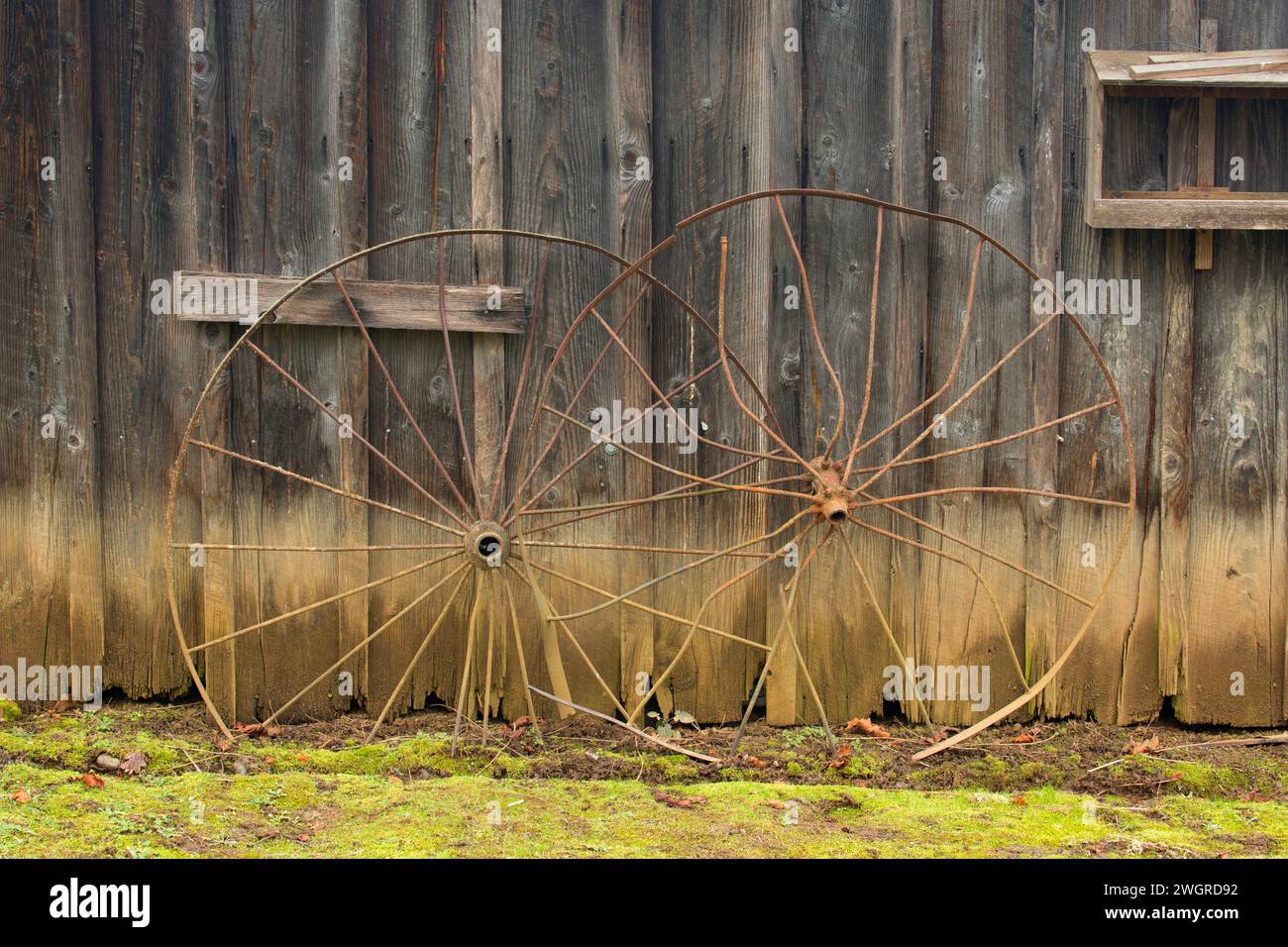 Wheel rims, Mildred Kanipe County Park, Douglas County, Oregon Stock ...