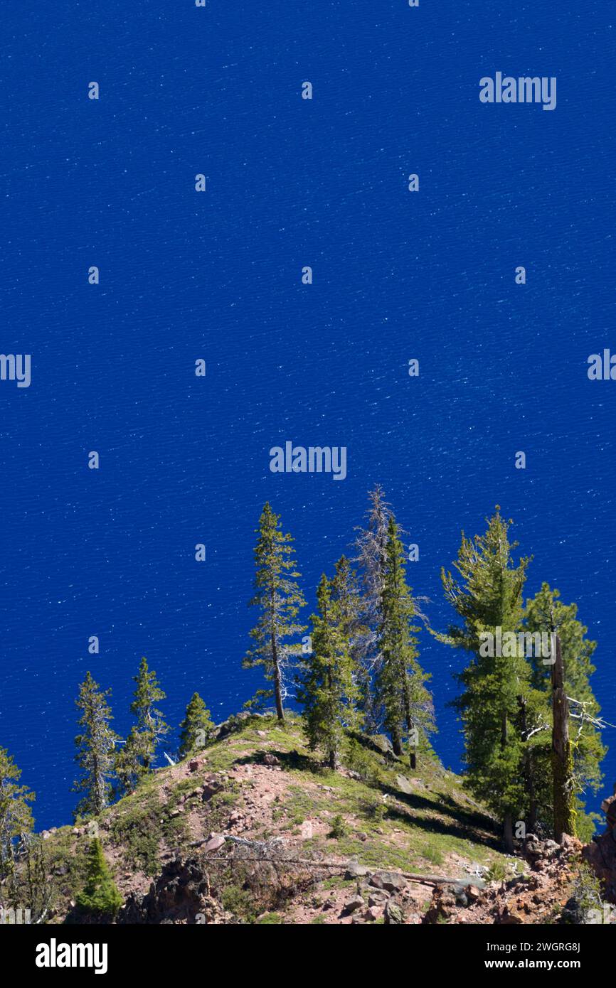 Trees against Crater Lake, Crater Lake National Park, Oregon Stock ...