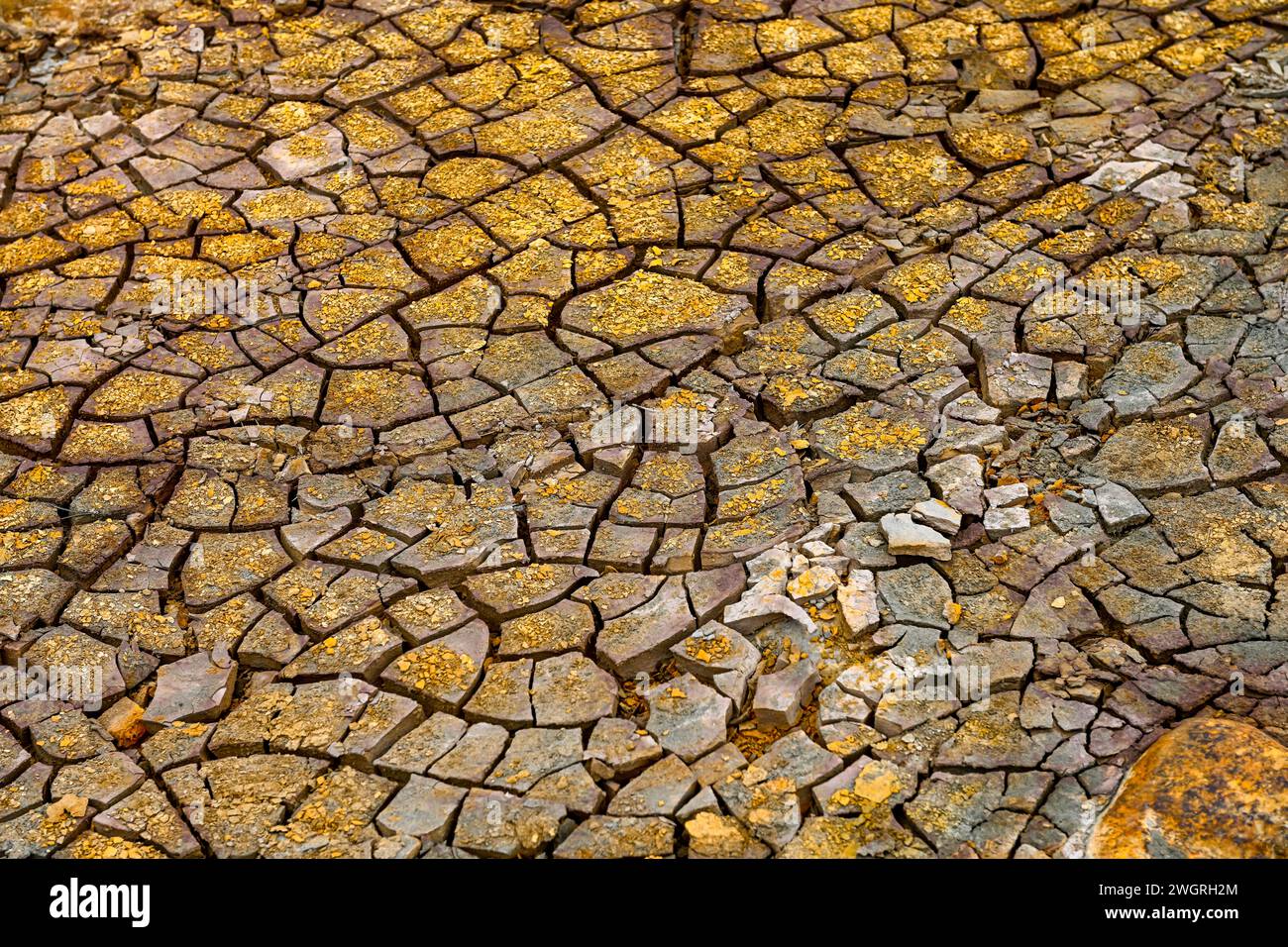 Parched soil hi-res stock photography and images - Alamy