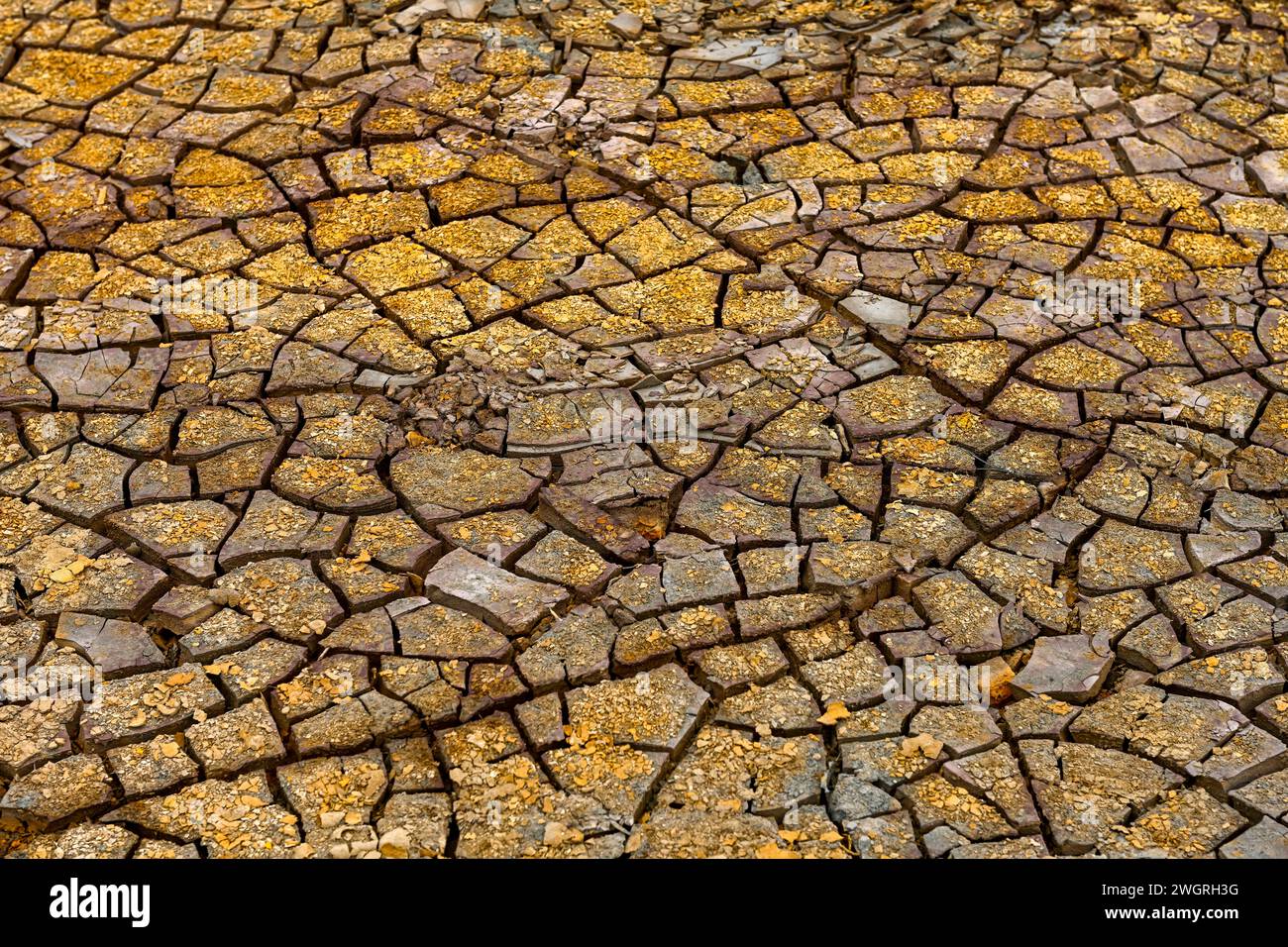 Sulfide soil hi-res stock photography and images - Alamy