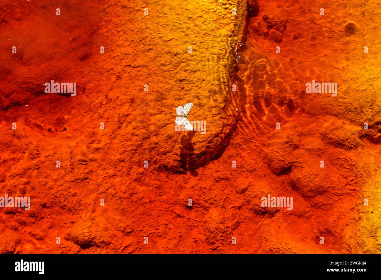 Iron rich soil hi-res stock photography and images - Alamy