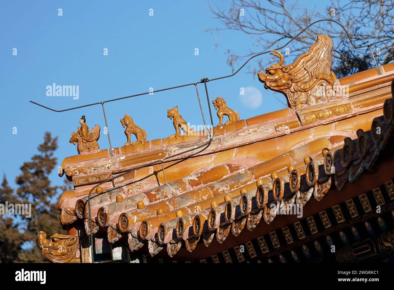 Ridge beasts hi-res stock photography and images - Alamy