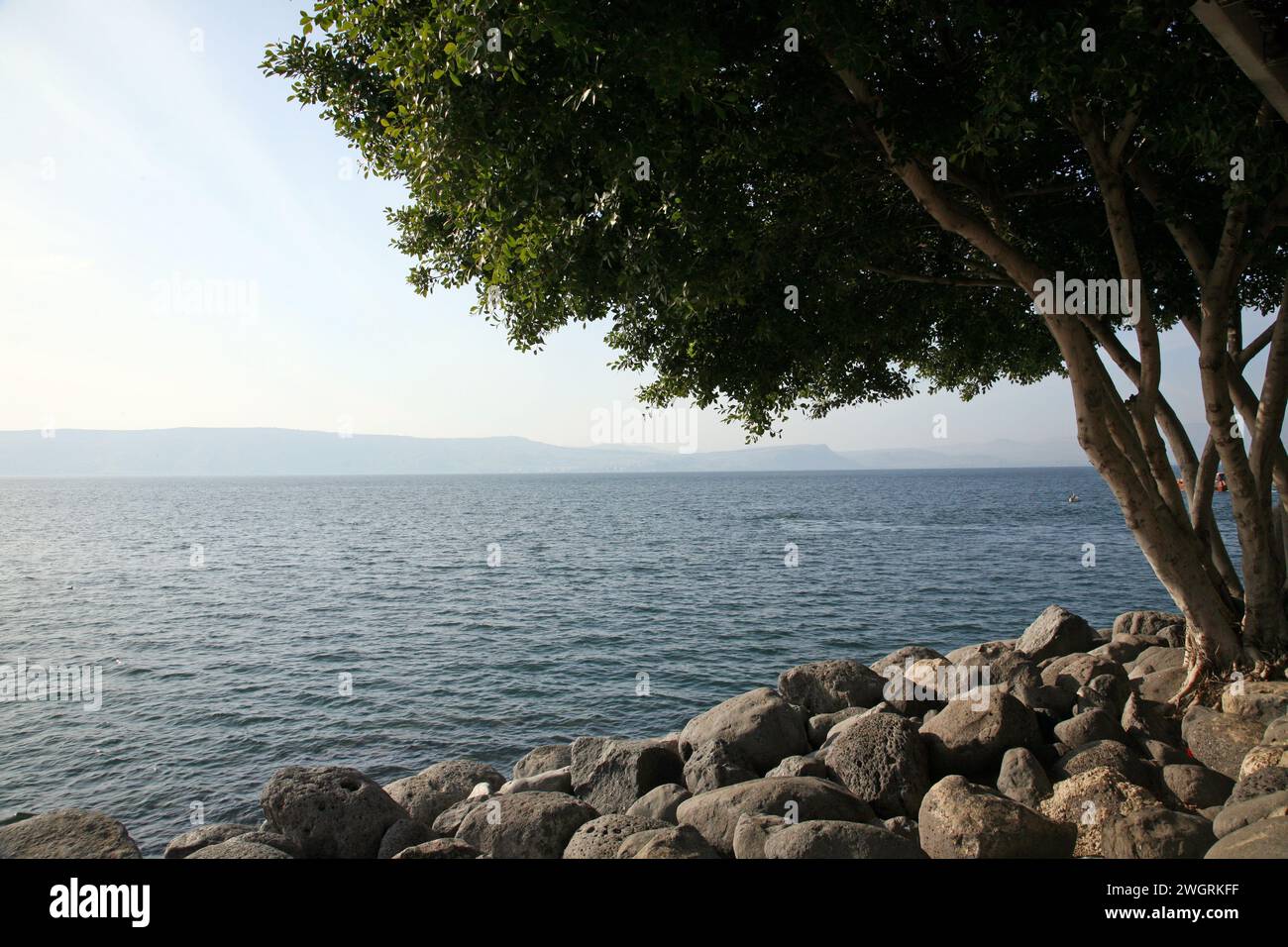 Rocky seascape, seashore in En Gev, Sea of Galilee, Israel Stock Photo ...