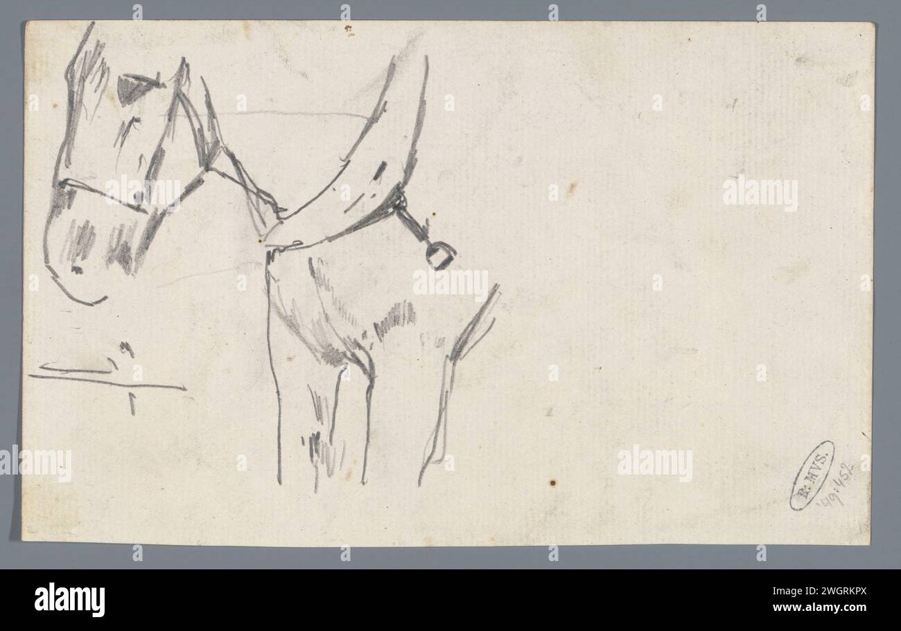 Horse with rig, 1909 drawing Amsterdam paper. pencil horse Stock Photo ...