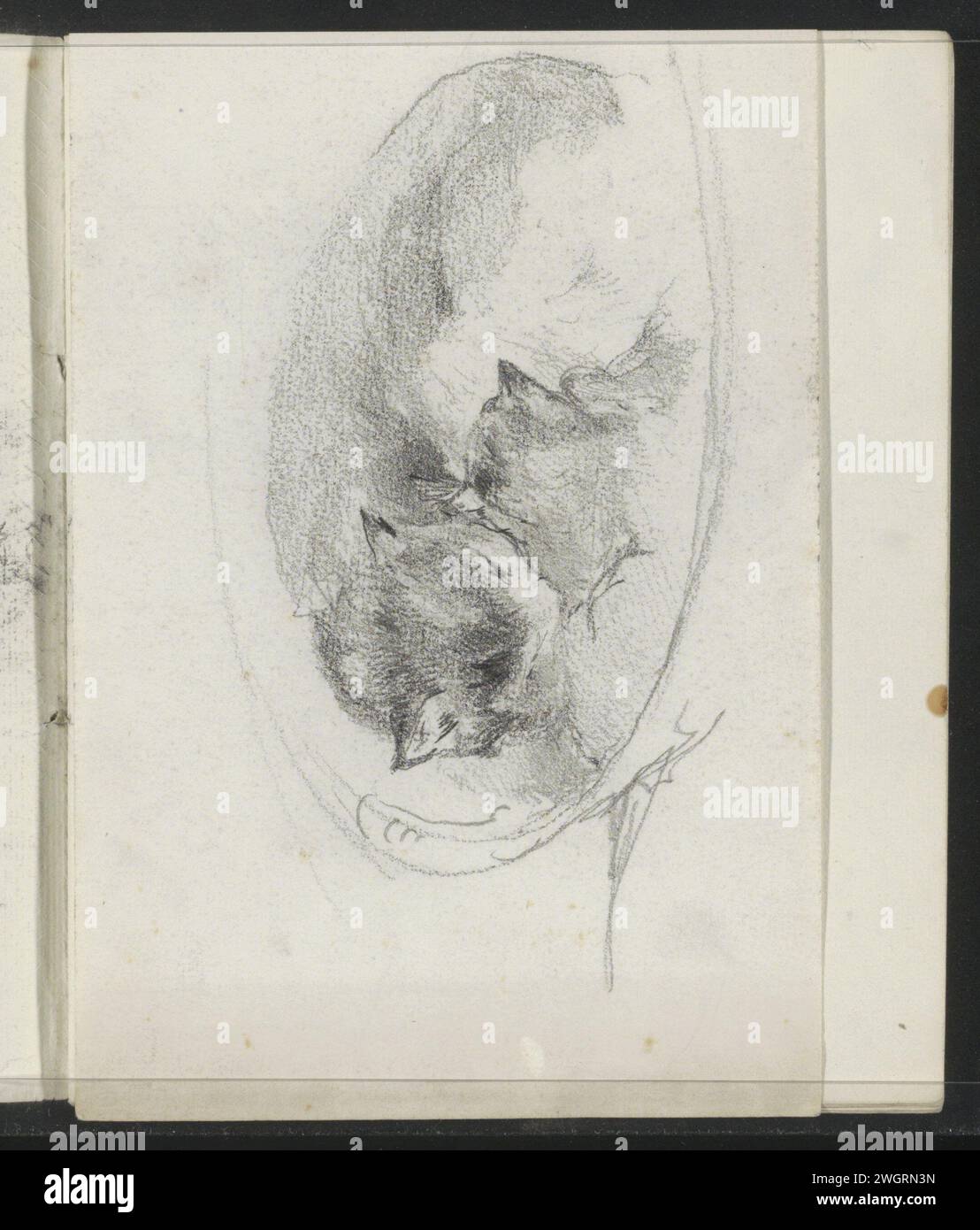Cats in an oval, 1834 - 1906 Loose drawing between the front bract and ...
