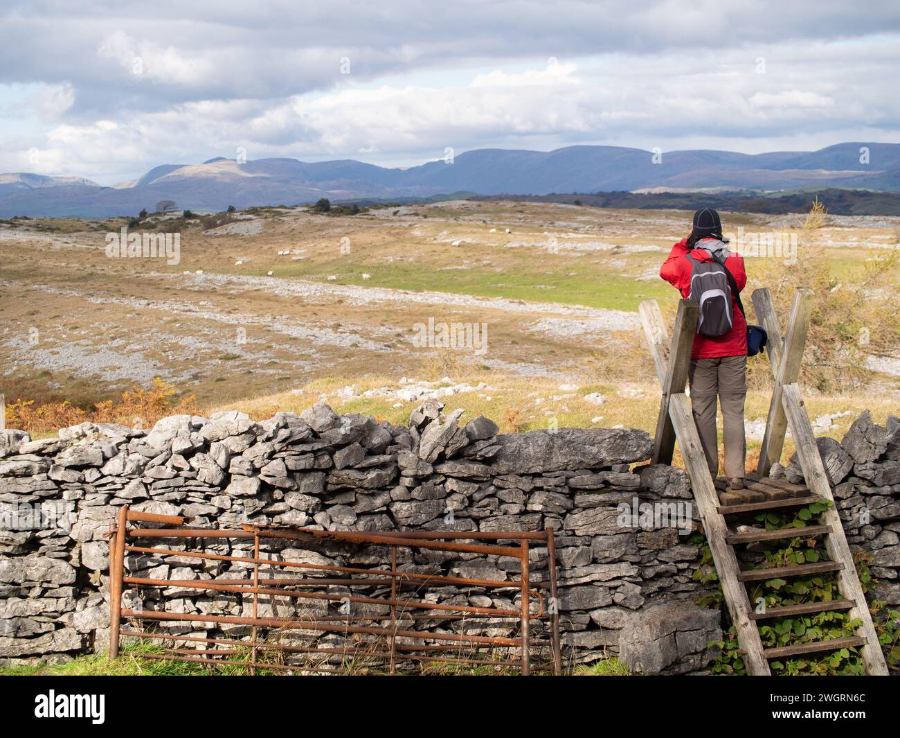Whitbarrow lords seat hi-res stock photography and images - Alamy
