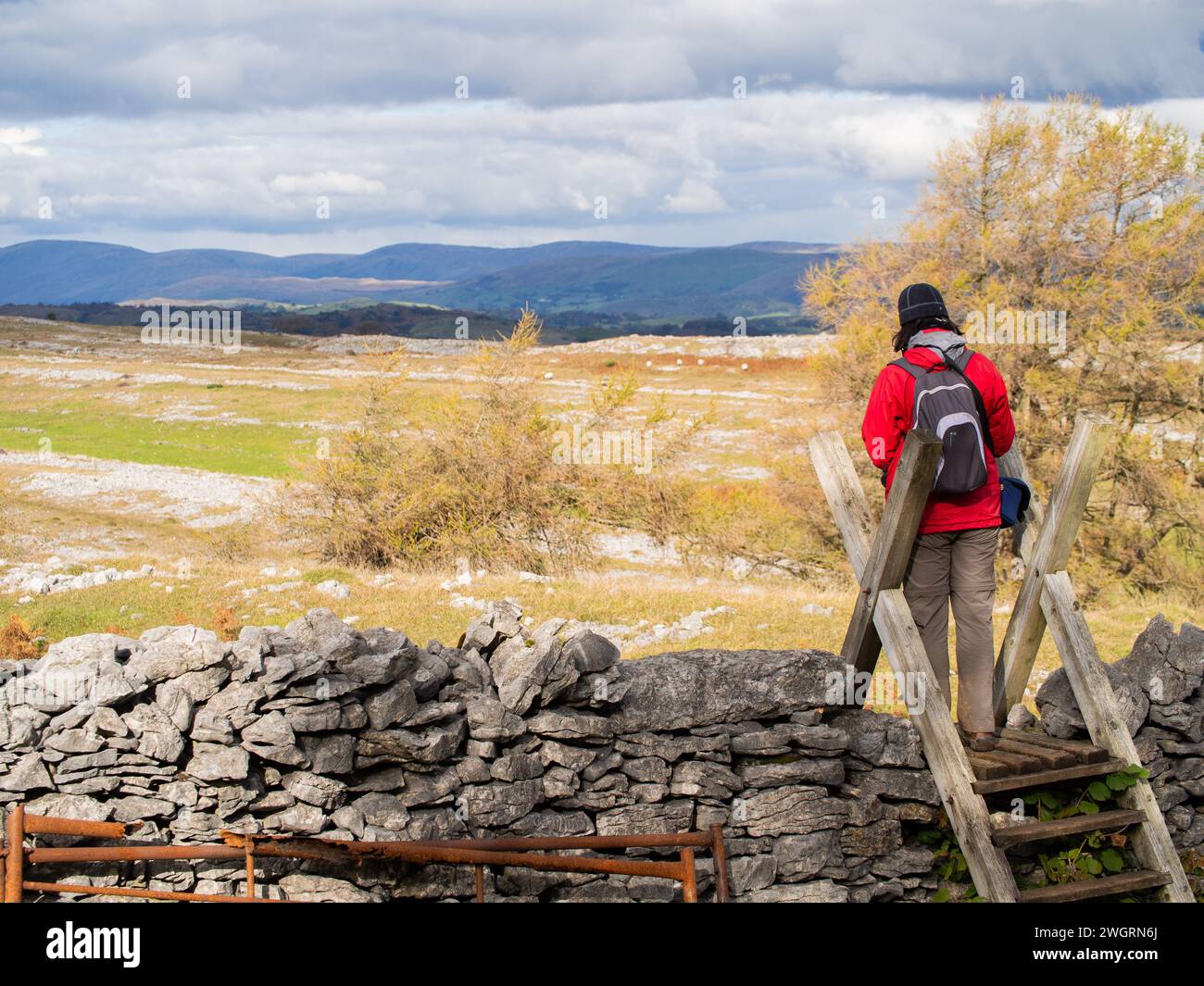 Lords Seat, Whitbarrow Scar, Cumbria, England Stock Photo - Alamy