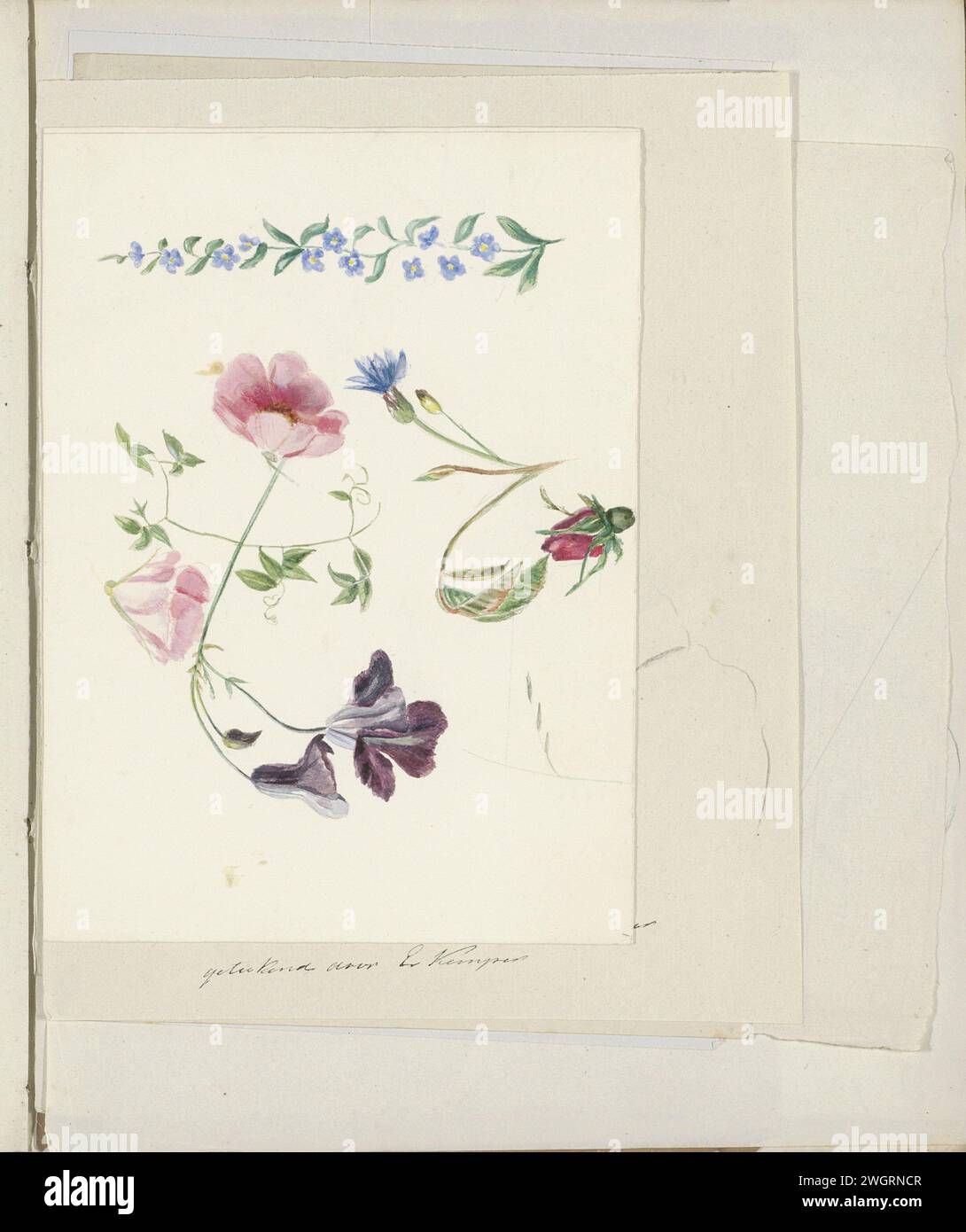 Loose watercolor flowers hi-res stock photography and images - Alamy