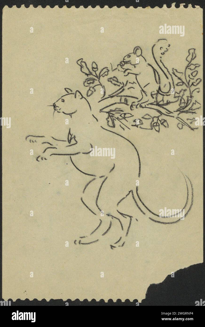 Squirrel in a tree and a kangaroo, c. 1904 - c. 1906 drawing paper ...