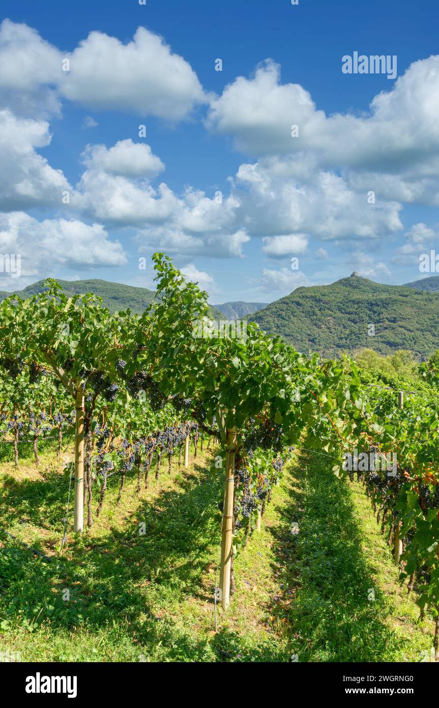 Lago di caldaro hi-res stock photography and images - Alamy