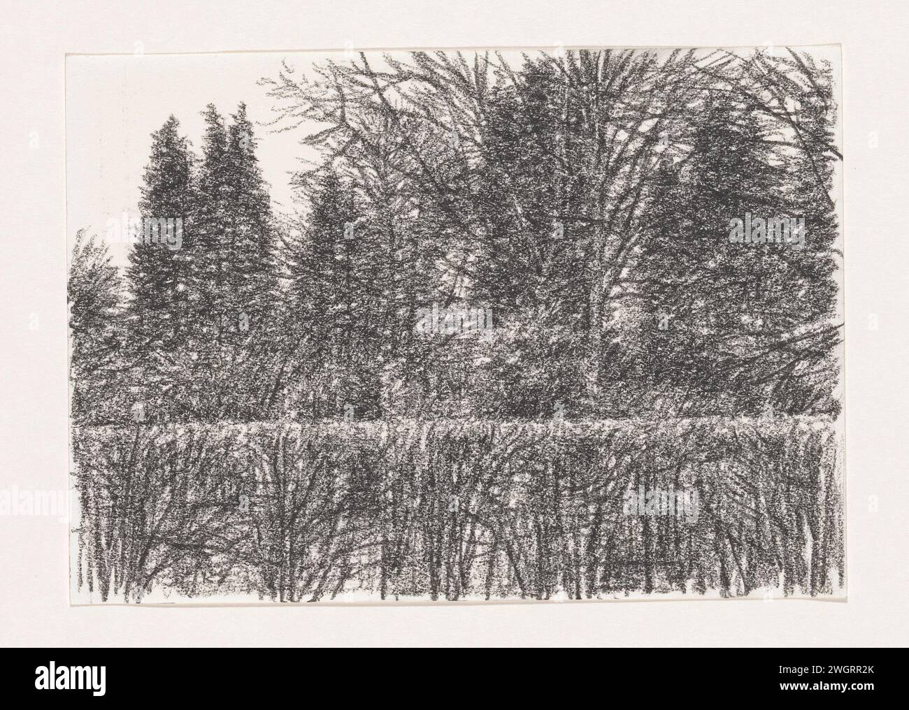 Trees without leaf behind Haag, 1939 - 2009 drawing paper. groups of ...