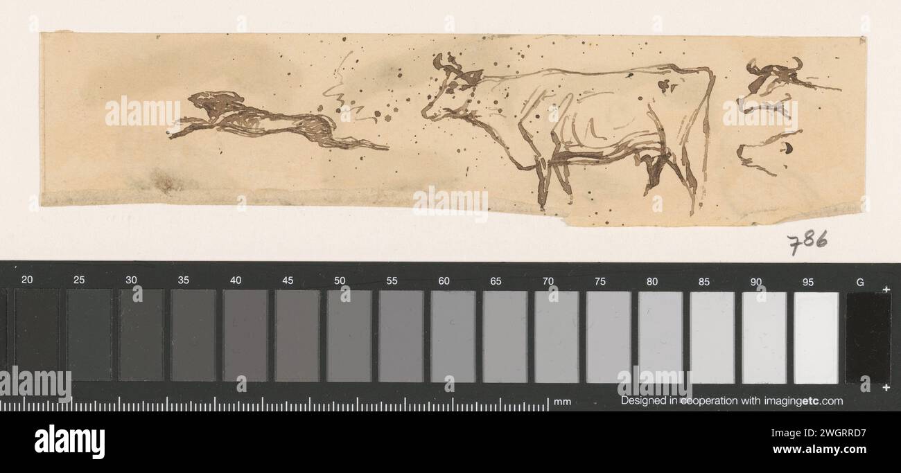 Cows and Haas, Johannes Taventrate, 1840 - 1880 drawing paper. ink pen ...