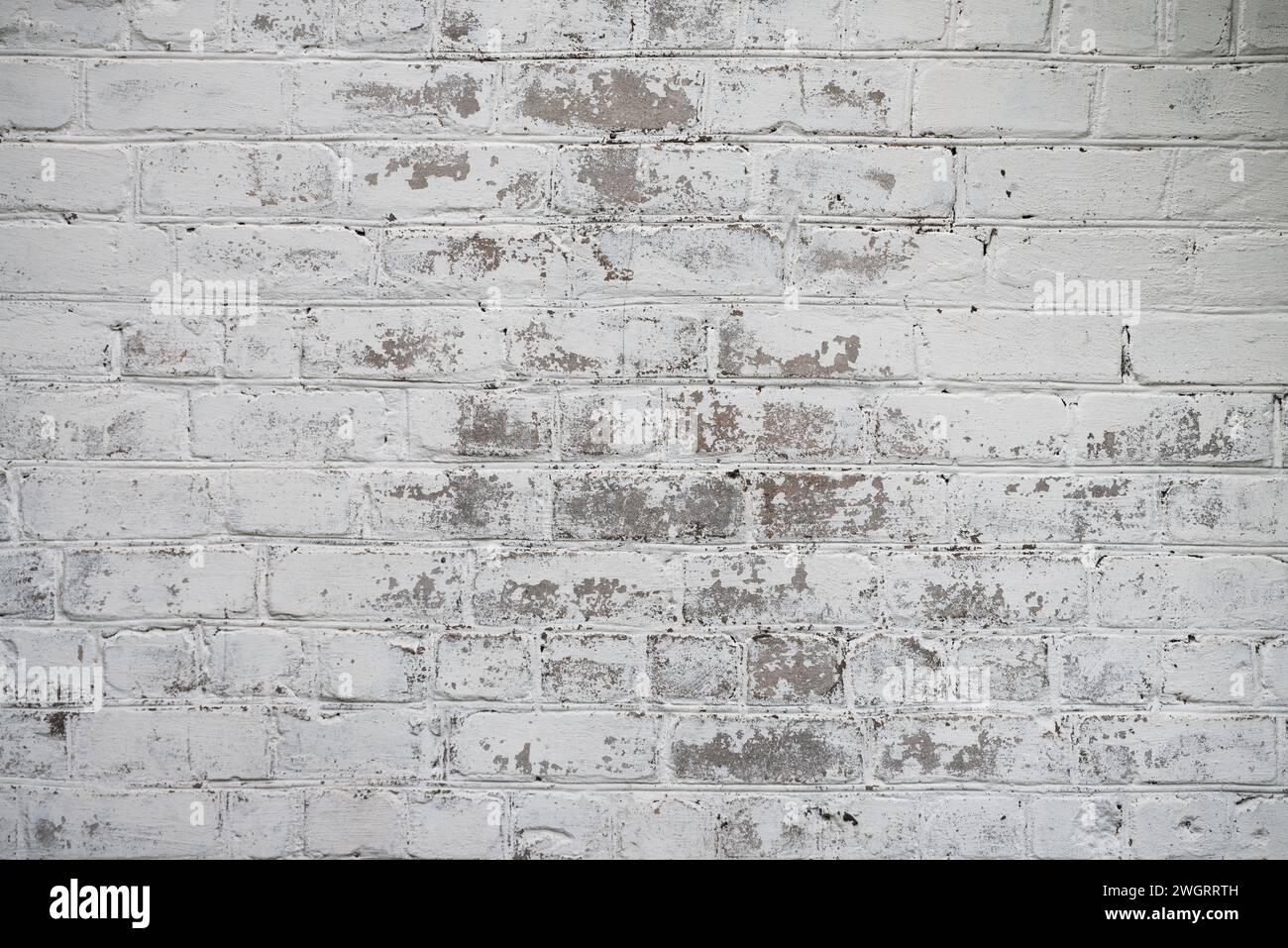 Texture of old white brick wall Stock Photo - Alamy