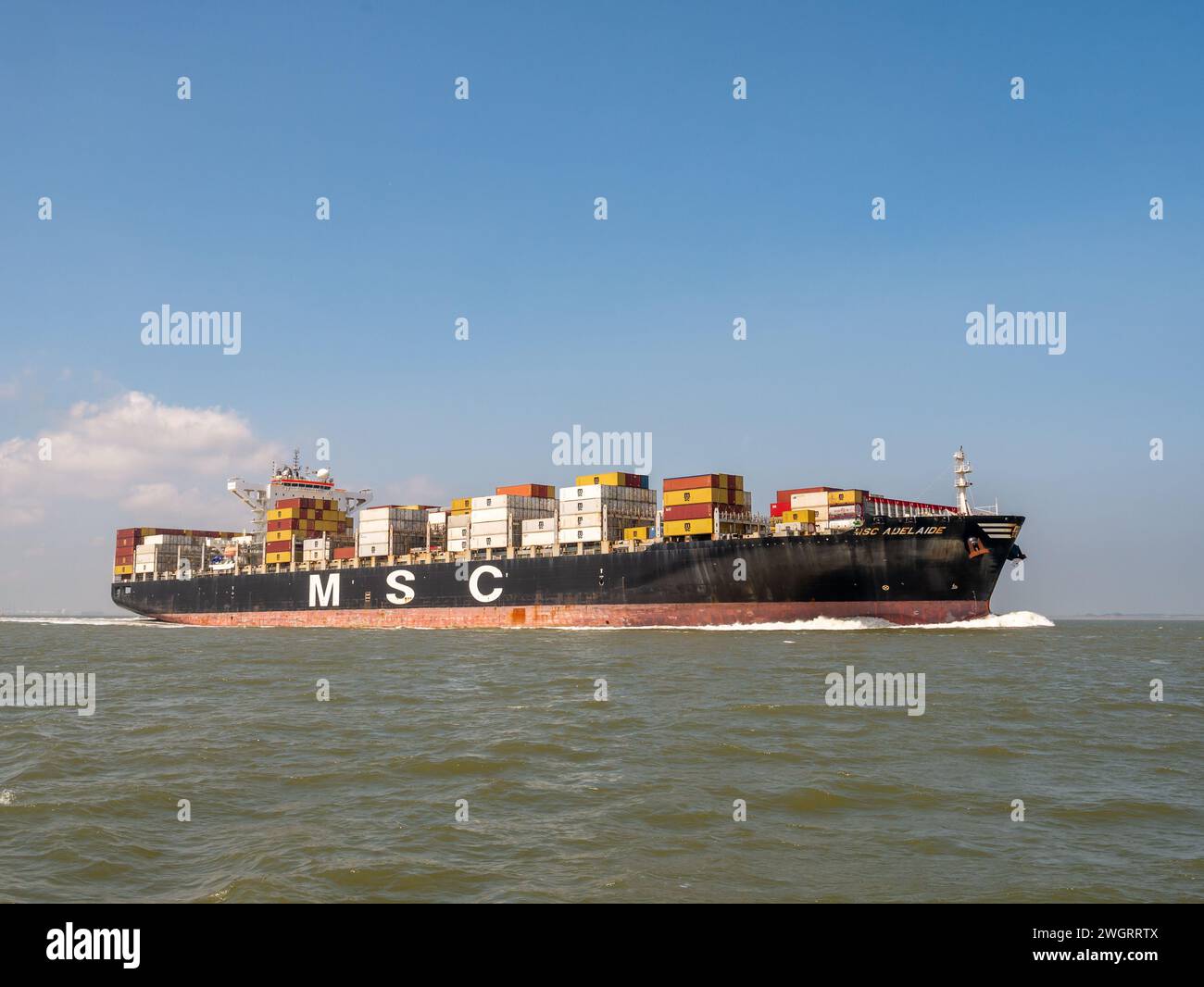 Container ship MSC Adelaide sailing on Westerschelde in the Netherlands ...