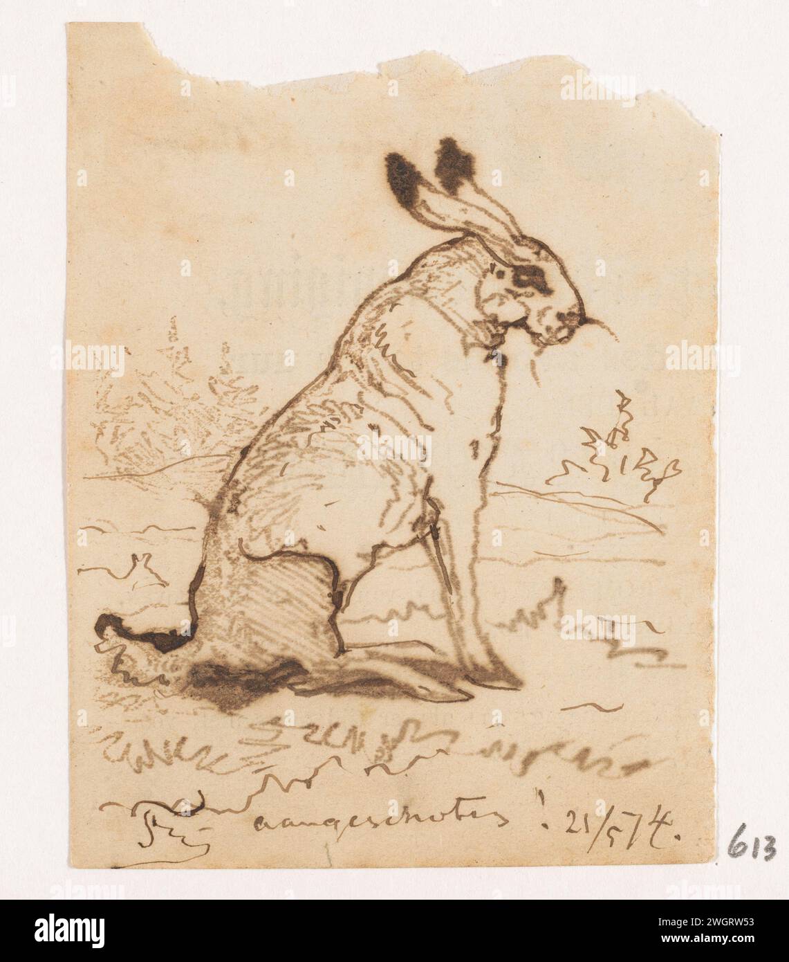 Tipsy!, Johannes Taventrate, 1874 drawing Sitting, wounded hare. Signed ...