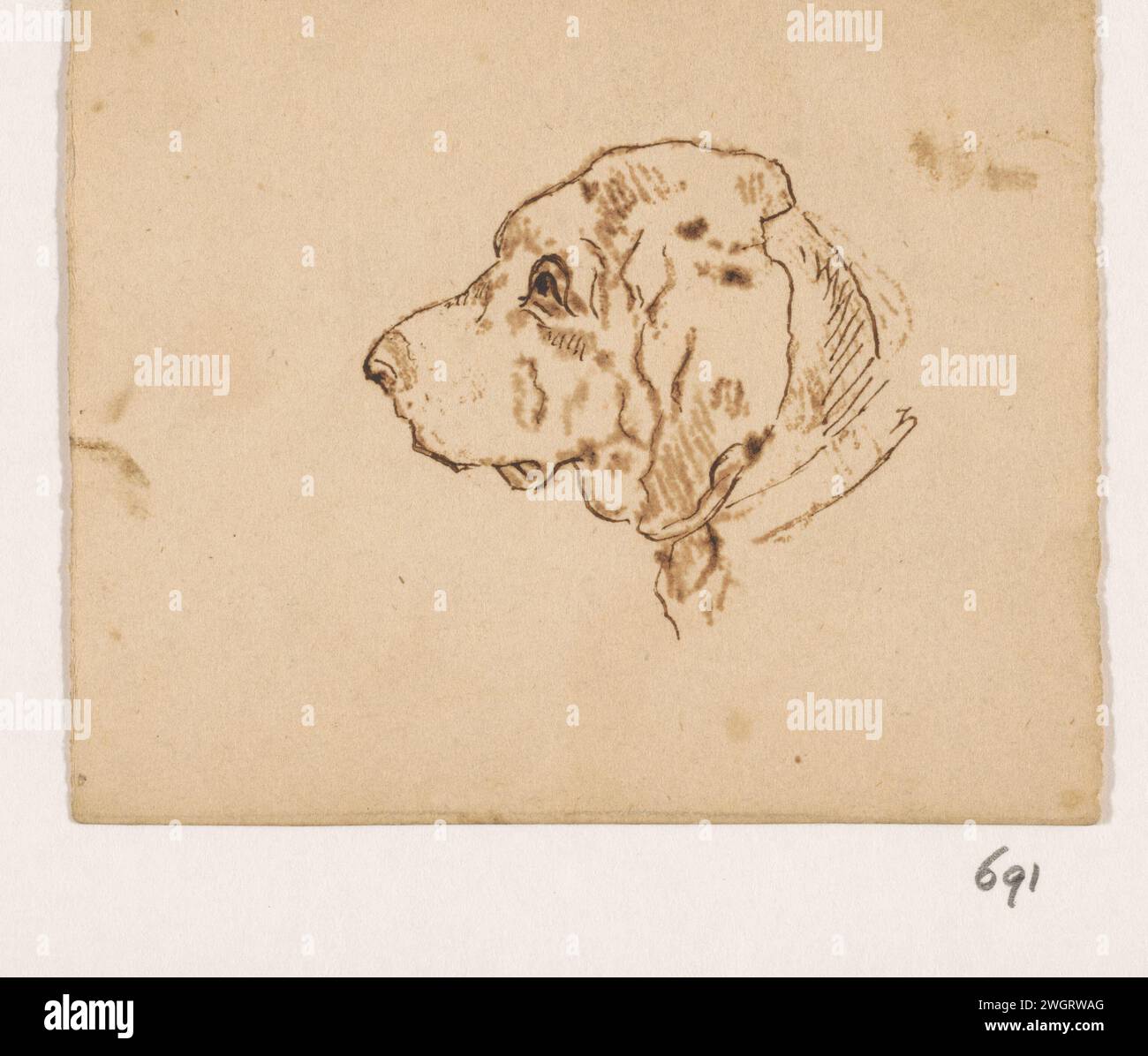 Kop van a hunting dog, Johannes Taventrate, 1840 - 1880 drawing paper ...