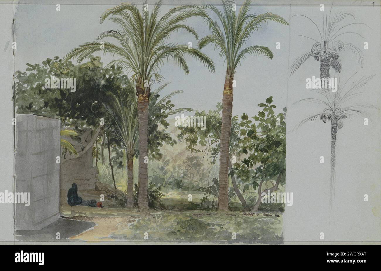 Oasis with palm trees, 1858 - 1860 Also studies of palm trees. Page 1 ...