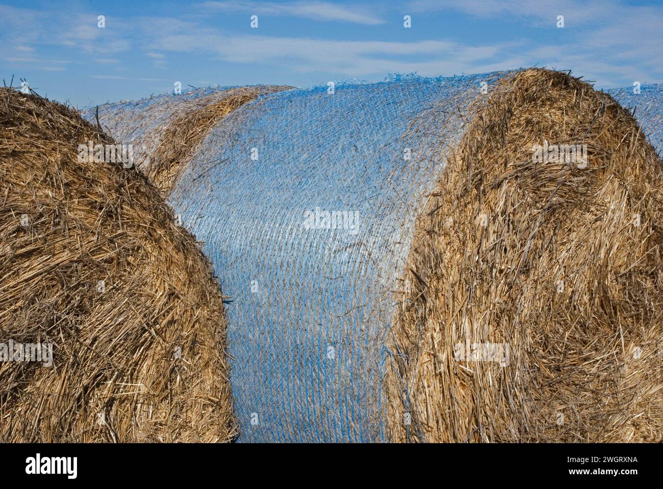 hay bales close up Stock Photo - Alamy