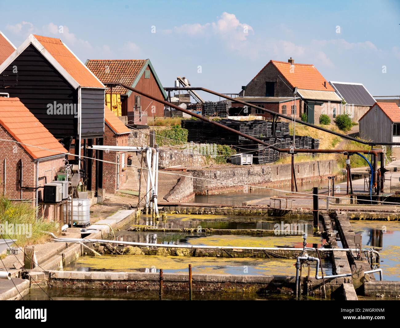 Yerseke hi-res stock photography and images - Alamy