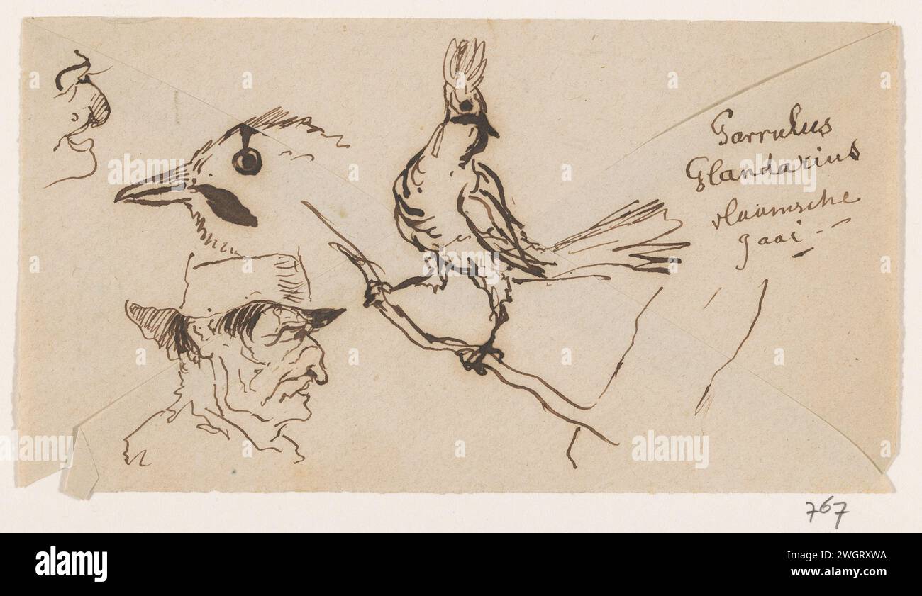 Jaai, and two heads, Johannes Taventrate, 1840 - 1880 drawing Flemish ...