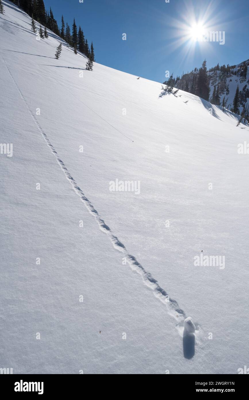 Down a slope hi-res stock photography and images - Alamy