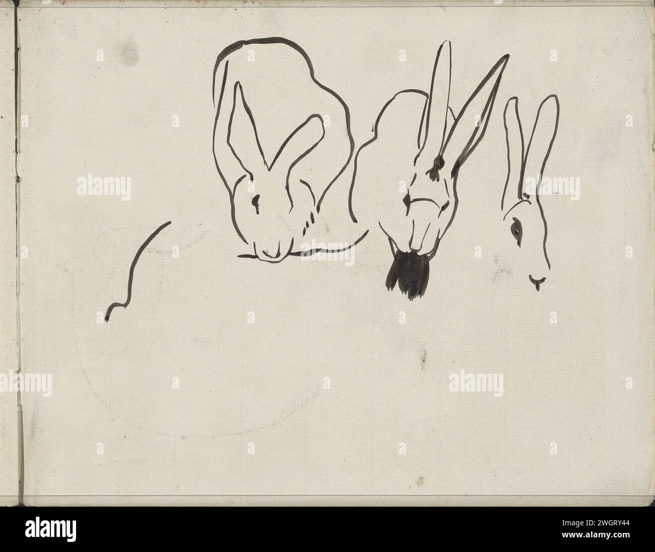 Rabbits, 1896 Leaf 43 Recto from a sketchbook with 44 sheets. paper ...