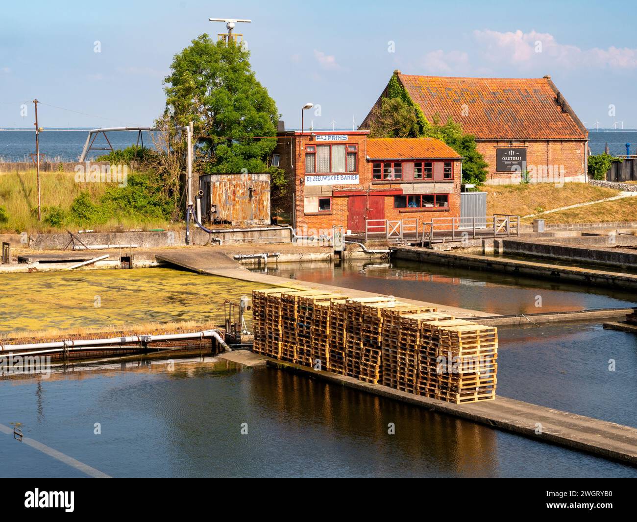 Oyster wells hi-res stock photography and images - Alamy