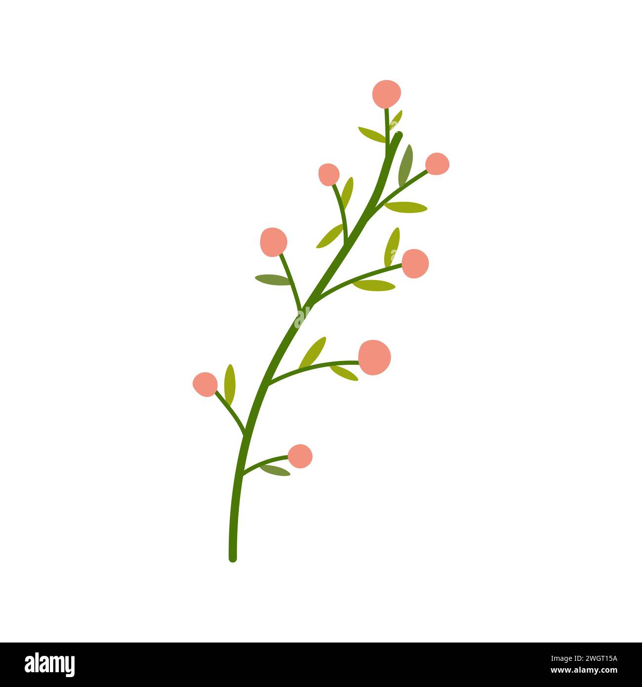 Hand drawn simple vector with berries, spring summer plant on white ...