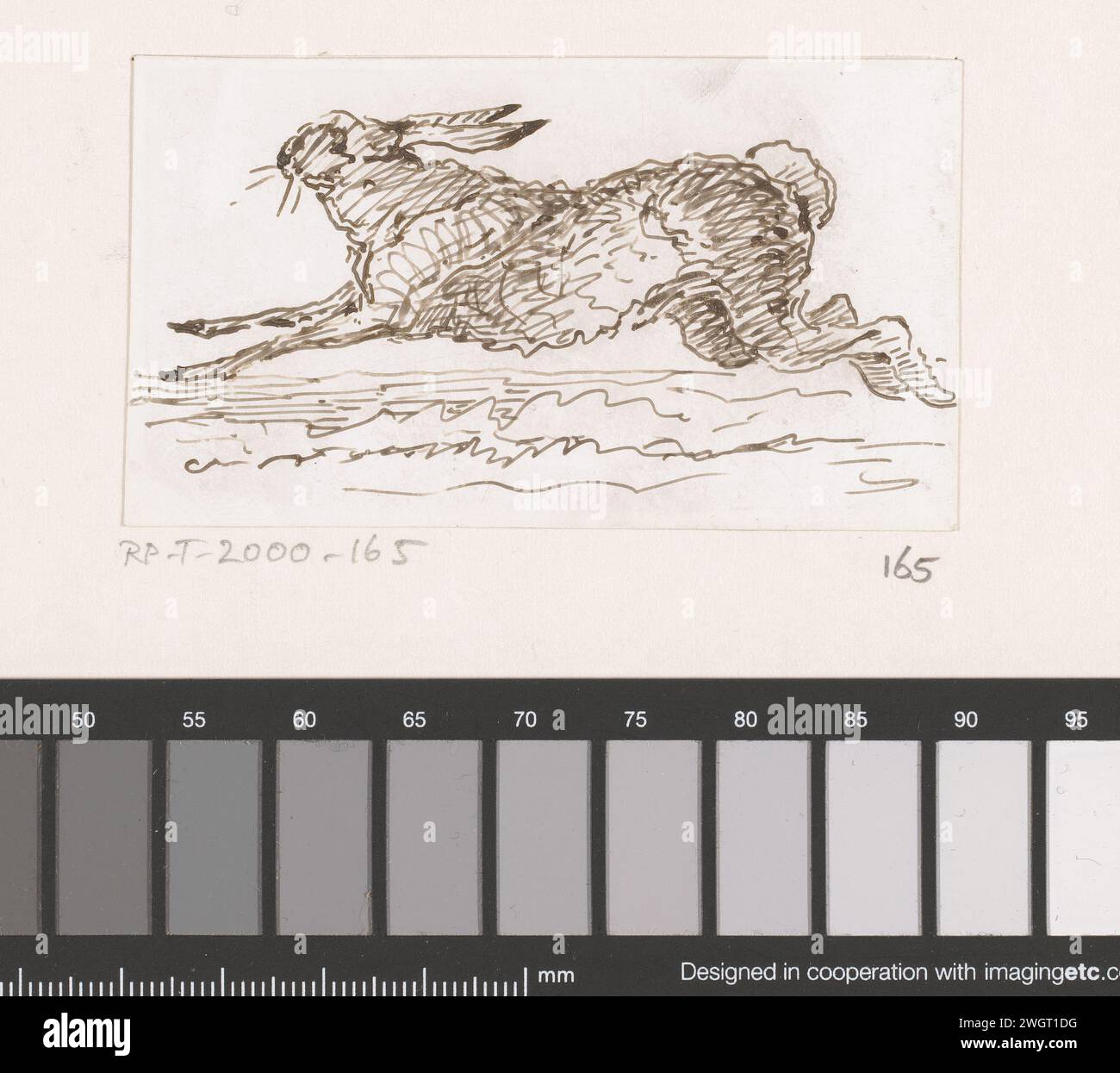 Haas, Johannes Tavenrate, 1869 drawing Haas, running to the left, drawn ...