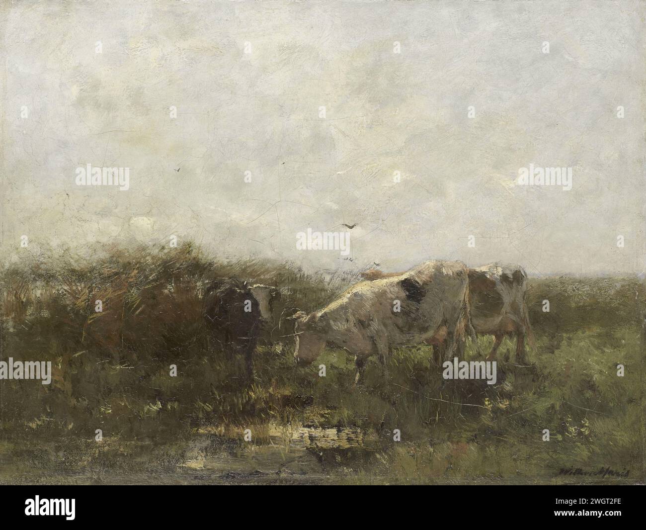 Cows, Willem Maris, 1880 - 1904 painting A group of grazing cows in a ...