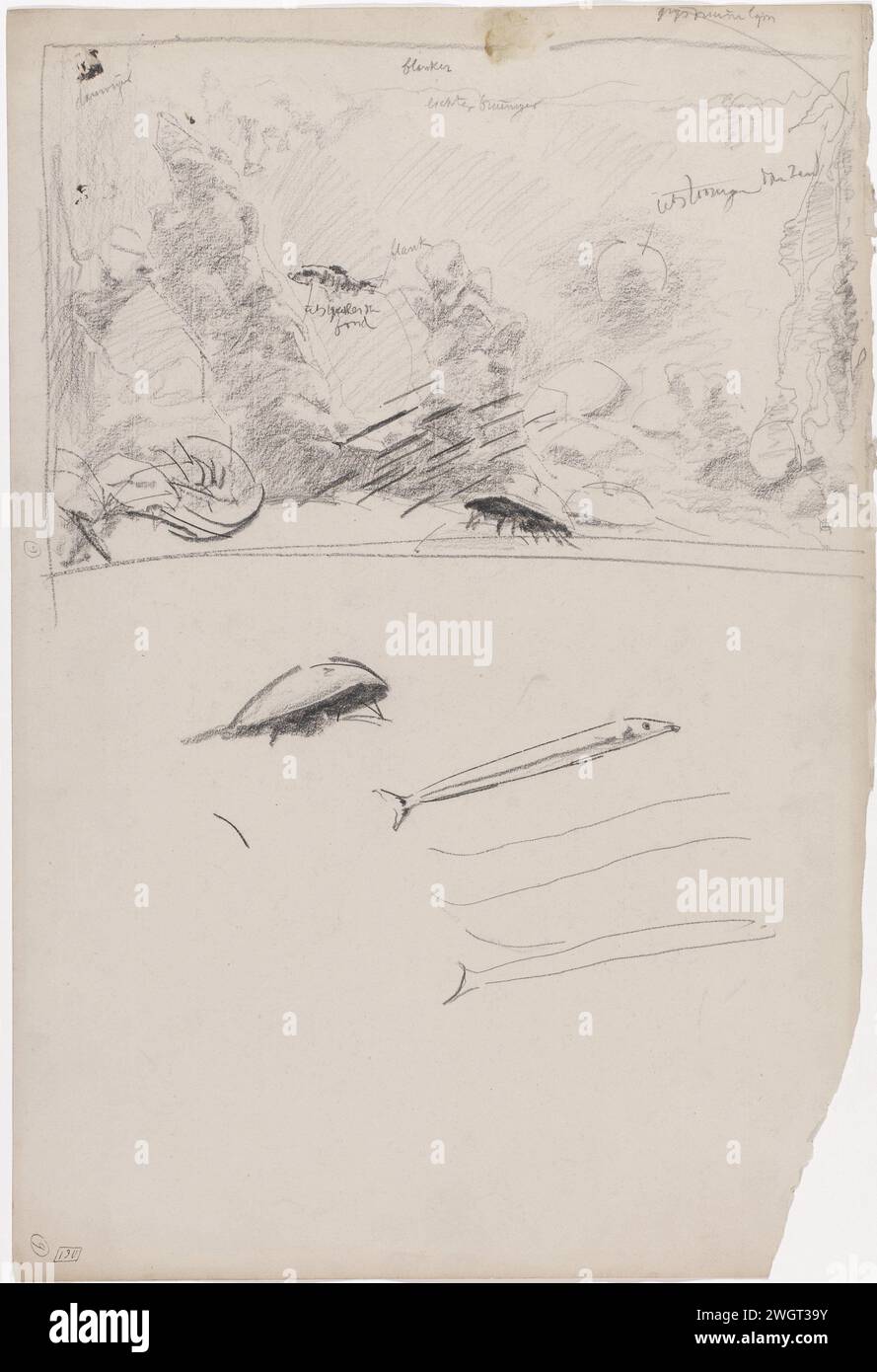 Sketch of an aquarium with fish, Gerrit Willem Dijsselhof, 1876 - 1924 ...