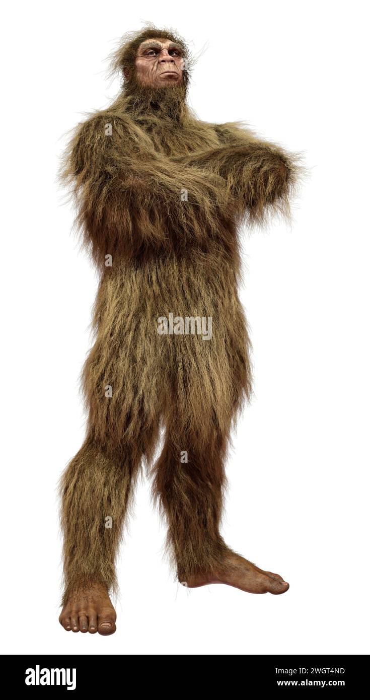 3D rendering of a Sasquatch or Bigfoot isolated on white background ...