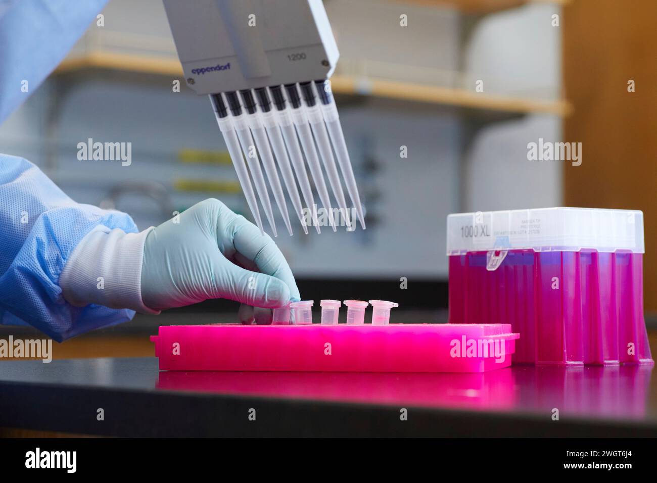 Lab equipment tools testing hi-res stock photography and images - Alamy