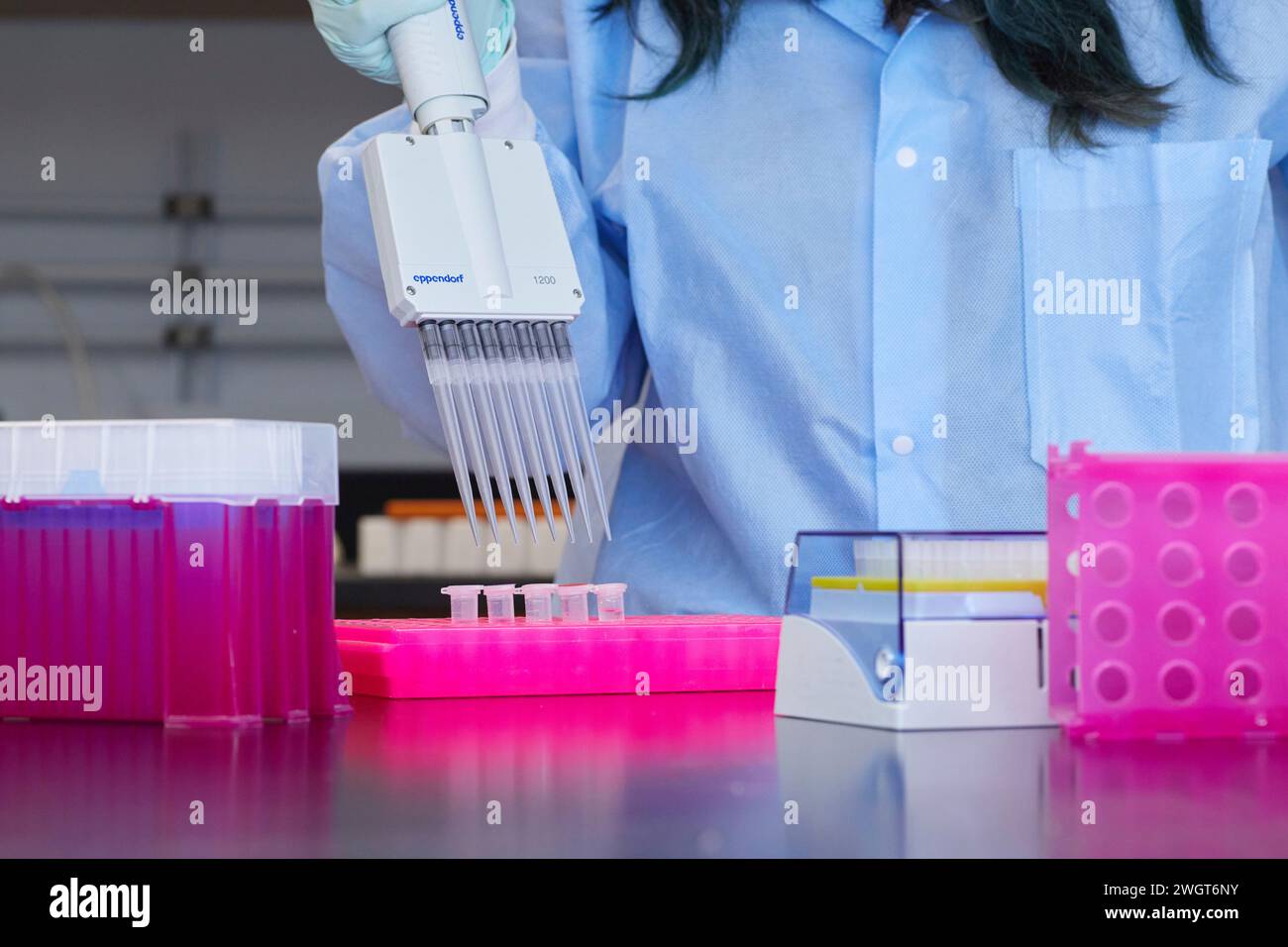 Tools and containers in a medical lab, work being done with pipette and ...
