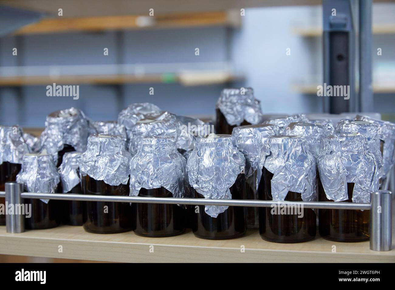 Tools and containers in a medical lab Stock Photo - Alamy