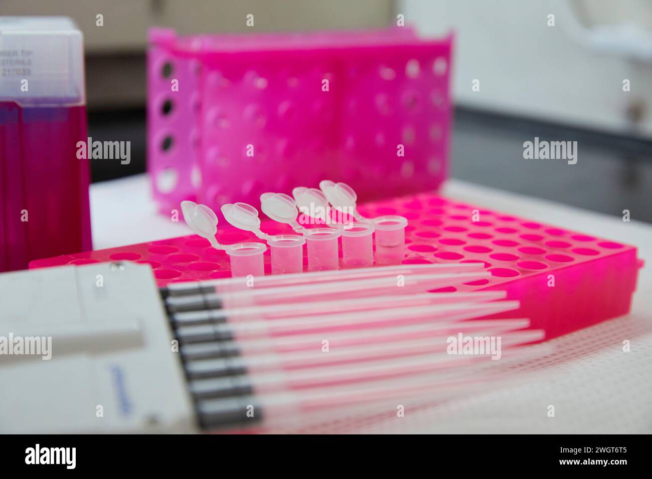 Tools and containers in a medical lab Stock Photo - Alamy