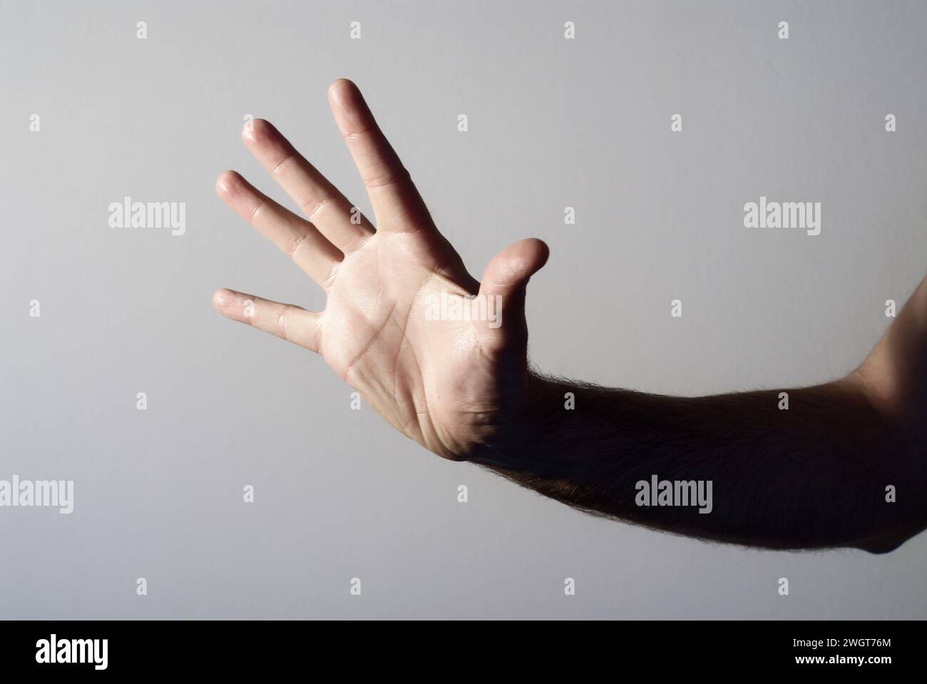 Finger touching palm hi-res stock photography and images - Alamy