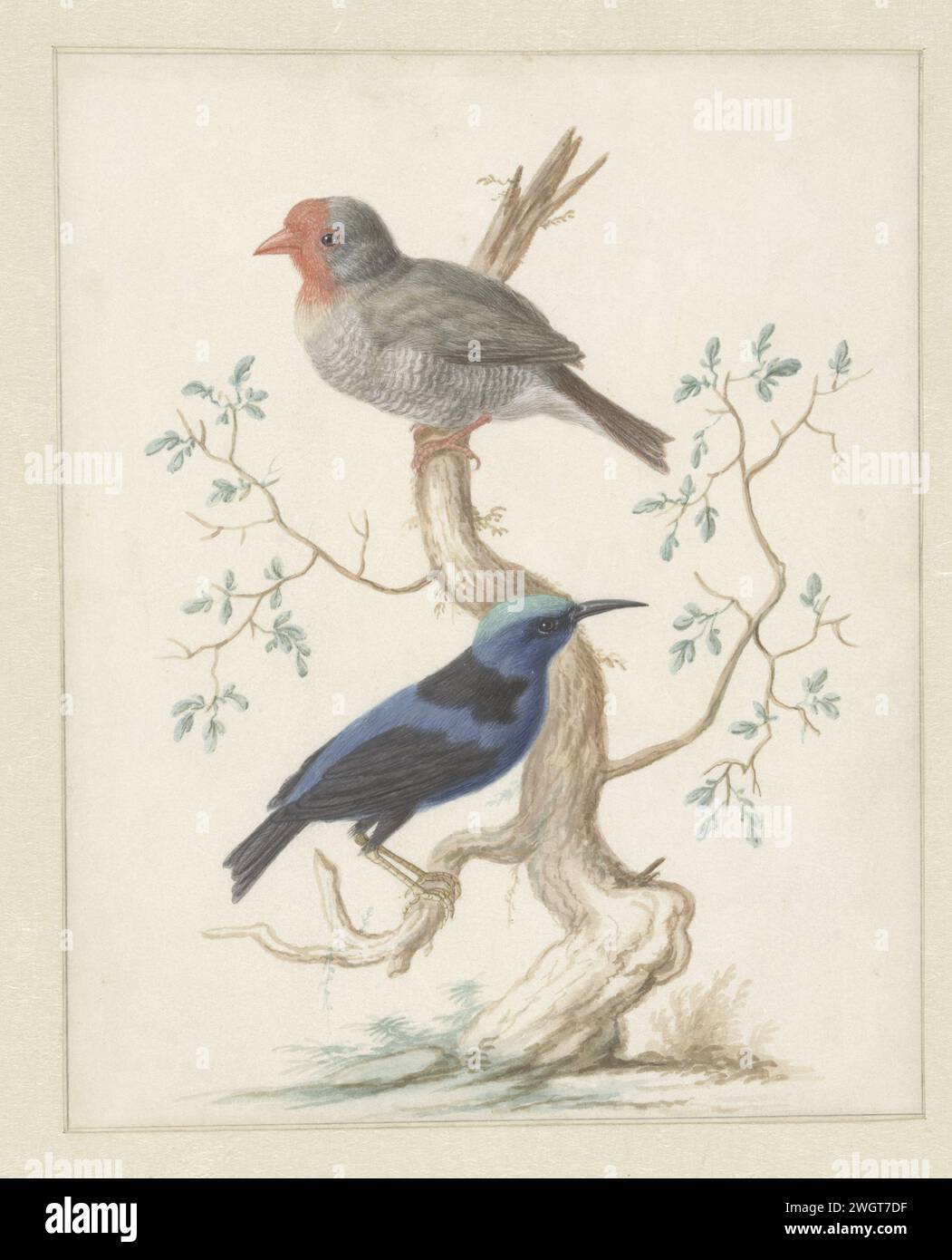 Bronkhorst johannes hi-res stock photography and images - Alamy