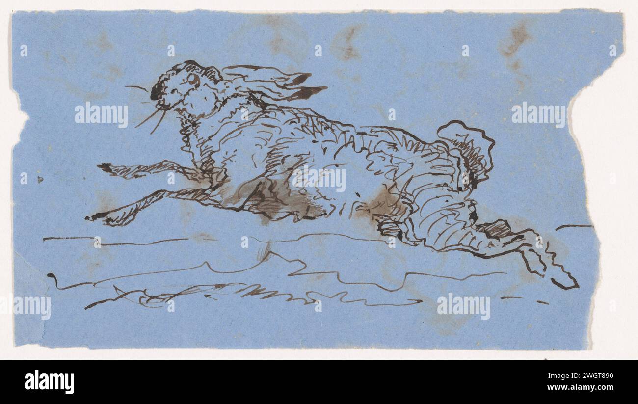 Haas, Johannes Taventrate, 1840 - 1880 drawing Hare. Signed on the back ...