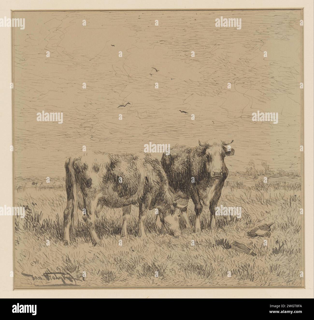Two cows in a meadow, Jan Vrolijk, 1884 drawing paper. ink pen meadow ...