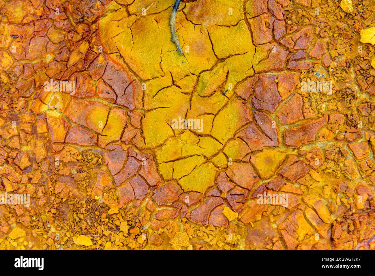 Sunlight casts a warm glow over the dry, cracked clay soil in the Rio ...