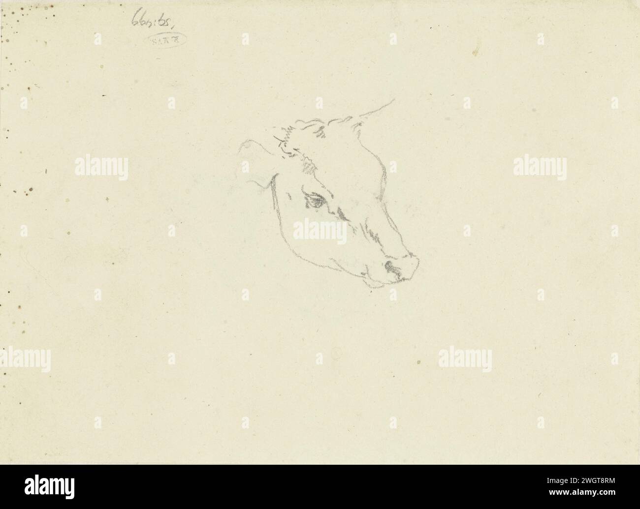 Beef head, to the right, Hendrik Voogd, 1788 - 1839 drawing paper ...