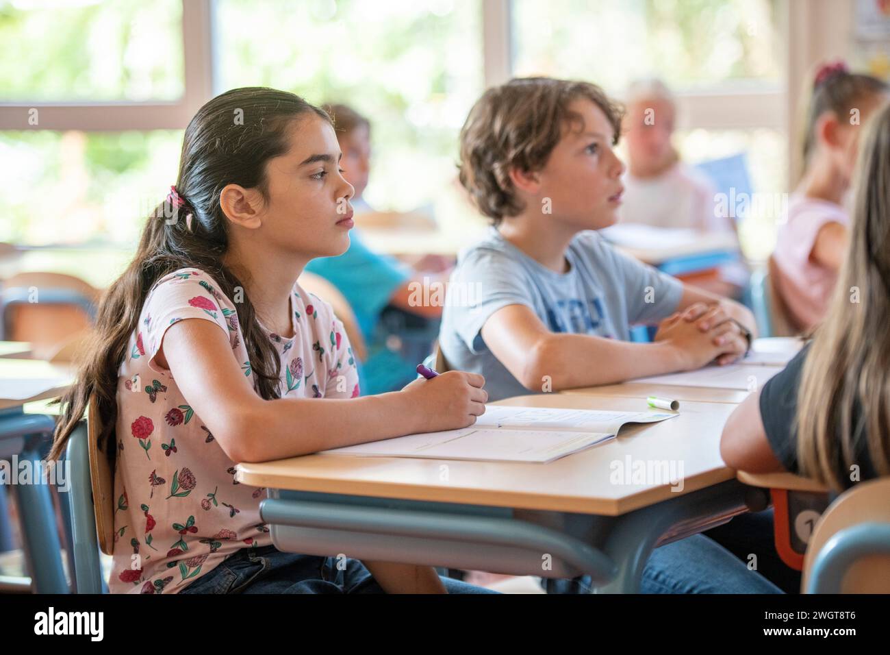Young students concentrating on their teacher, studying hard Stock ...