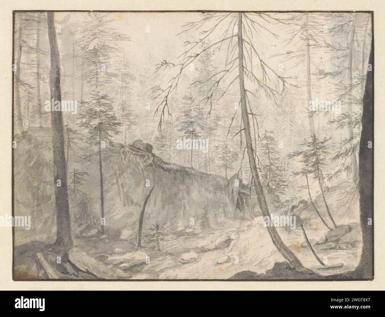 Evergreen forest sunken path hi-res stock photography and images - Alamy